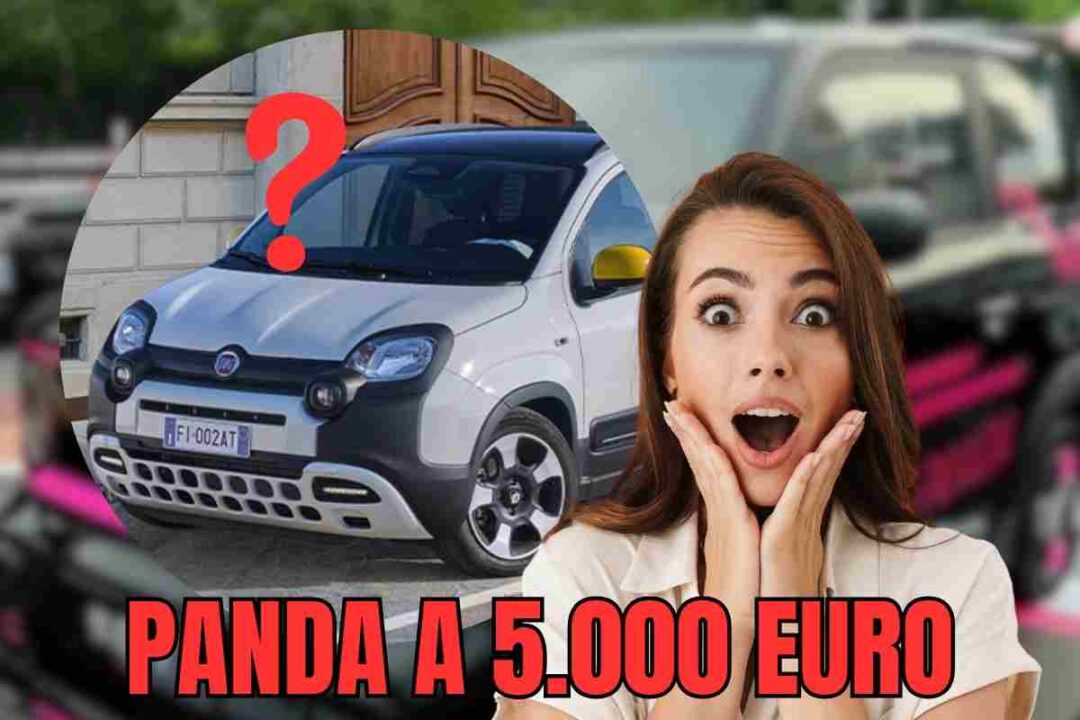 Panda, arriva il nuovo modello da 5 mila euro: rivali annientate