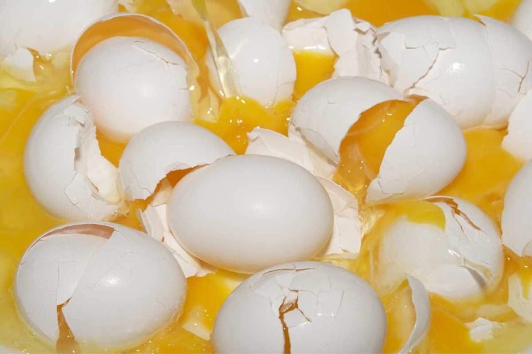 Hai visto un uovo rotto sul vetro? Faresti meglio a non scendere dalla ...